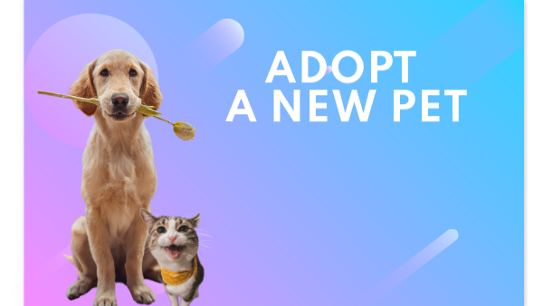 PET _ vocab adjectives