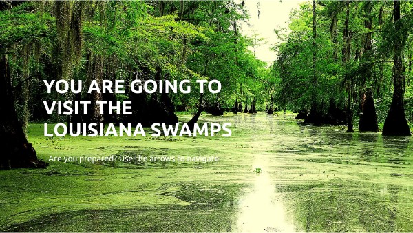 Tips for visiting the swamps