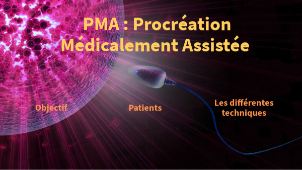 PMA : Procréation Médicalement Assistée | Genially