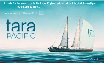 TARA expedition Biodiversité | Genially