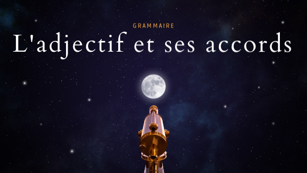 Las accords de l'adjectif | Genially