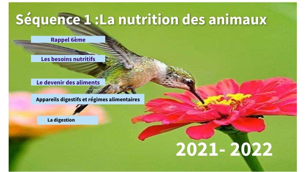 La nutrition des animaux | Genially