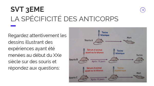 La spécificité des anticorps | Genially