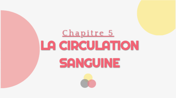 chapitre 5 la circulation du sang