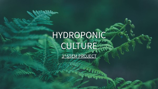 Hydoponic Culture | Genially