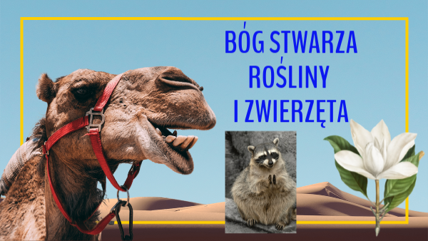Bóg stworzył rośliny i zwierzęta | Genially