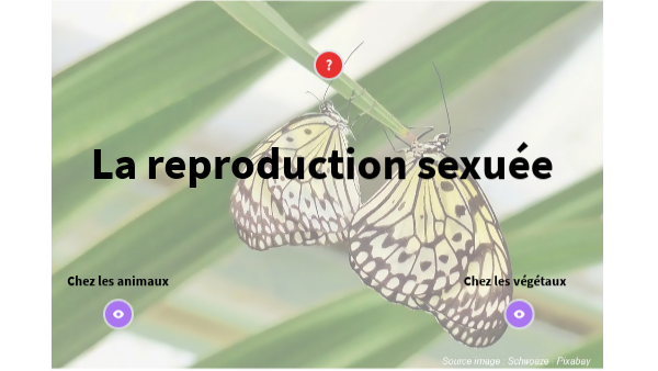 La reproduction sexuée des êtres vivants | Genially