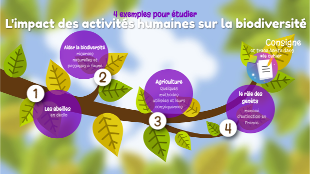 L'impact des activité"s humaines sur la biodiversité | Genially
