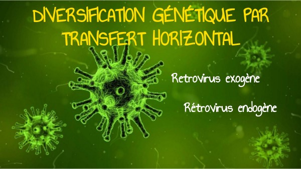 T14-Notion de transfert horizontal | Genially