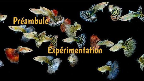 Evolution des populations de guppys | Genially
