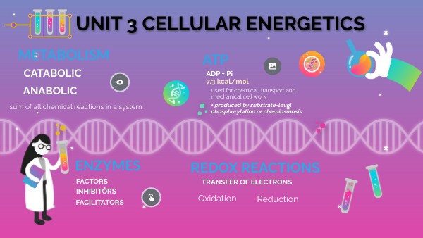 UNIT 3 REVIEW