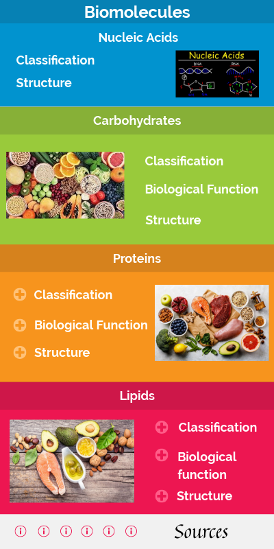 Biomolecules