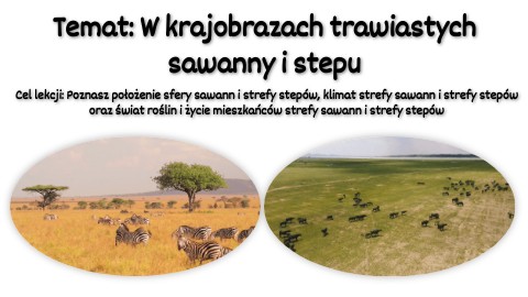 Krajobraz sawanny i stepu | Genially