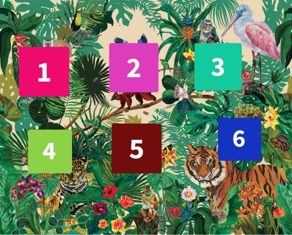 Jungle Zone, Guess the animal