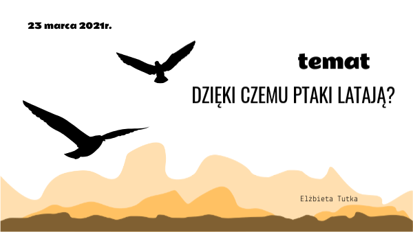 23 marca - Dlaczego ptaki latają? | Genially