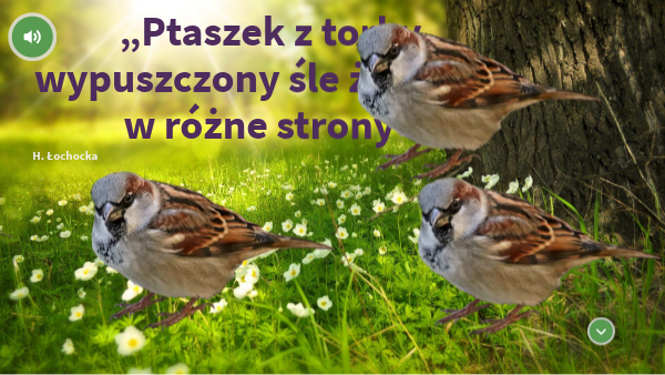 Ptaszek