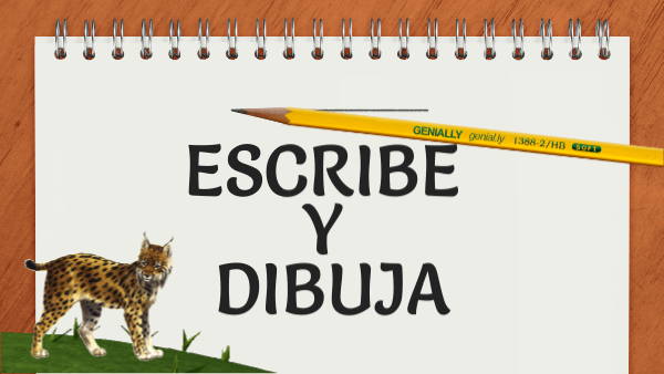 ESCRIBE Y DIBUJA.CONFERENCIA