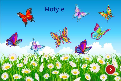 Motyle | Genially