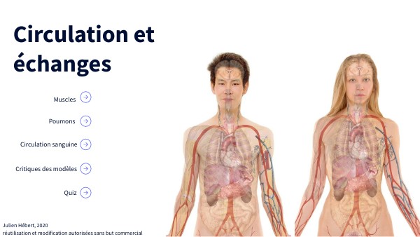 Circulation et échanges c3/c4 | Genially