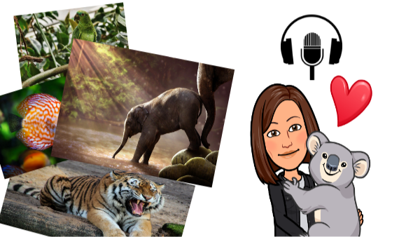 Tiger 3 Animal Groups | Genially