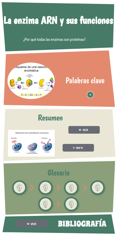 La enzima ARN y sus funciones | Genially