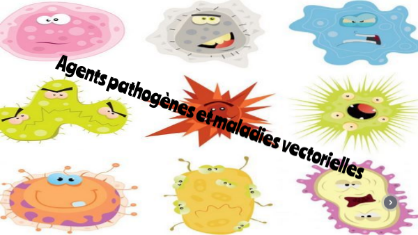maladies vectorielles 3 2nde copie | Genially