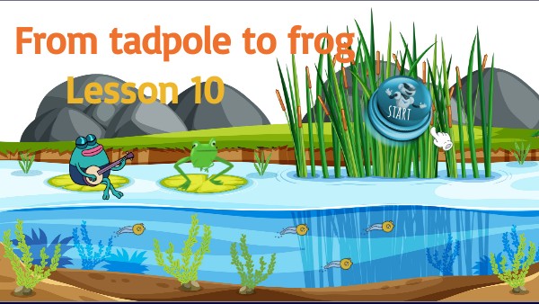 Lesson 10. From tadpole to frog | Genially