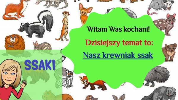 Nasz krewniak ssak | Genially