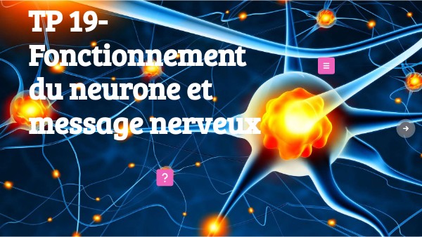 TP18 Message nerveux et synapse | Genially