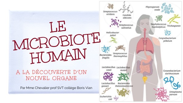 A la découverte du microbiote humain cycle 4 | Genially