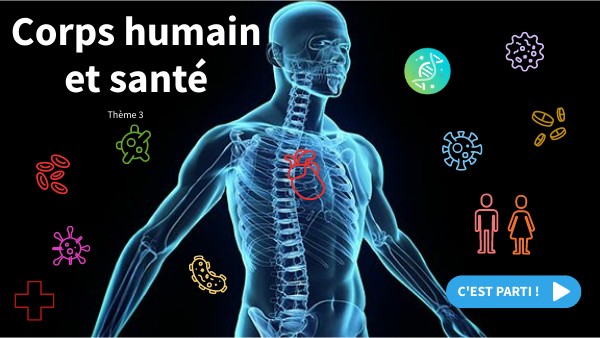 Thème 3 corps humain et santé