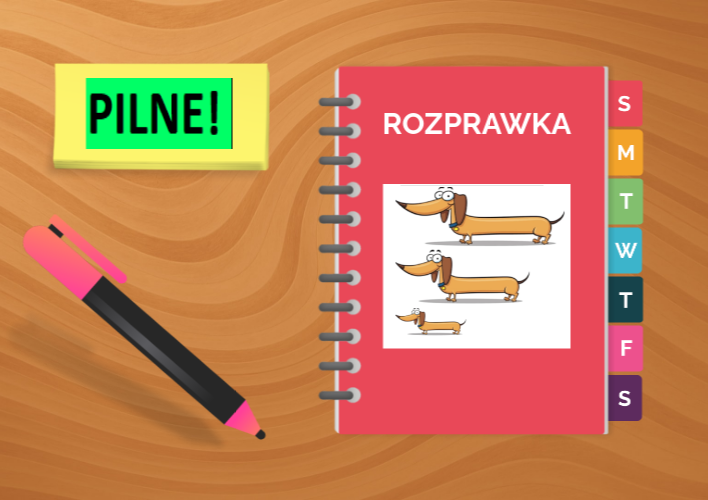 ROZPRAWKA2_JM | Genially