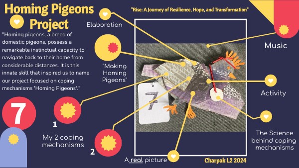 Homing Pigeons 7