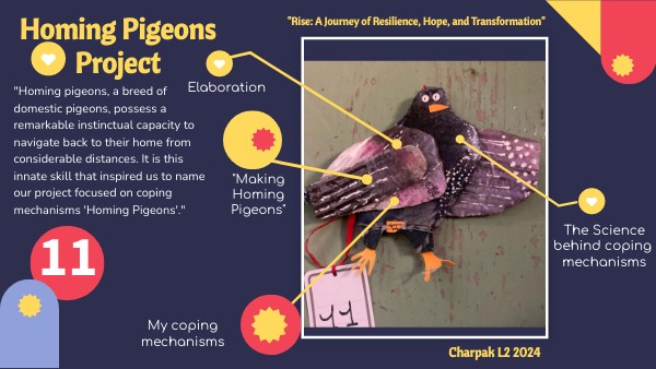 Homing Pigeons 11