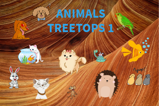 ANIMALS TREETOPS 1 | Genially
