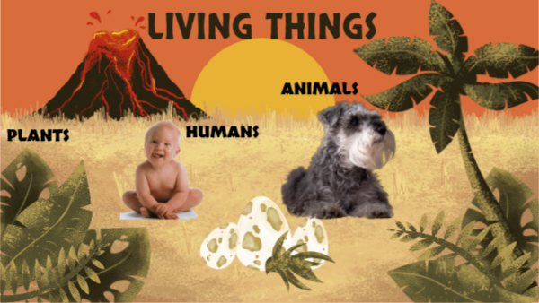 Living and non living things (animals and plants) 1º Prim