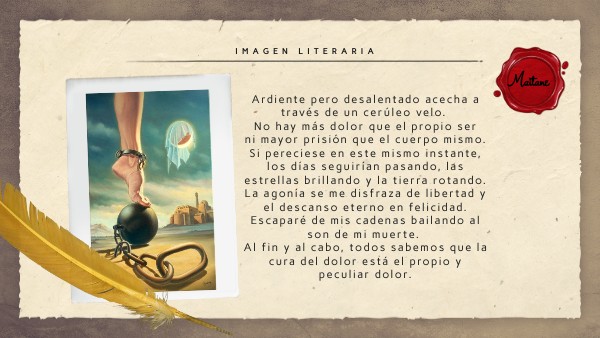 INFOGRAFÍA IMAGEN LITERARIA