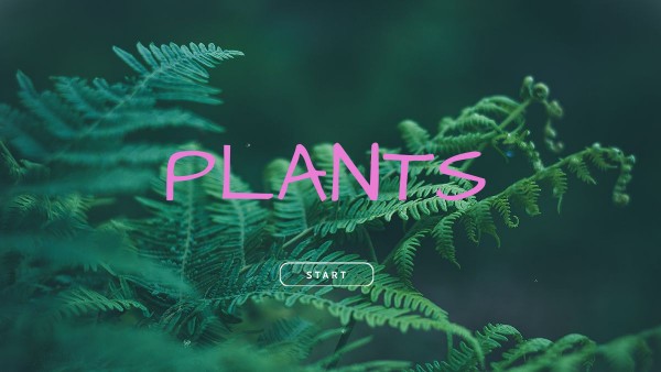 PLANTS