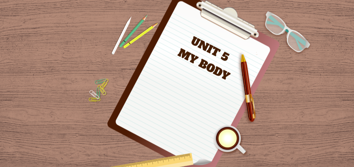 CLASS 1REVISION | Genially