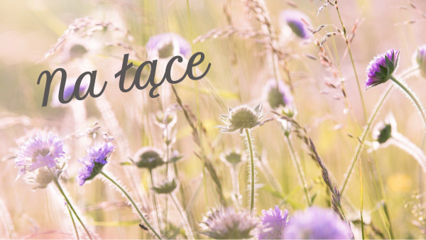 Na łące- D. Barysz | Genially