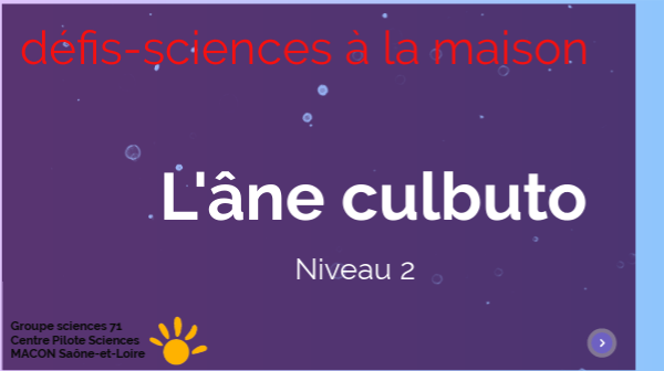 VQ-C2-L'âne culbuto | Genially