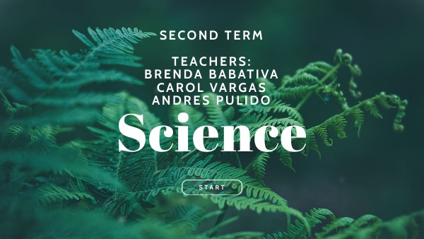 T2C2 Beautiful plants | Genially