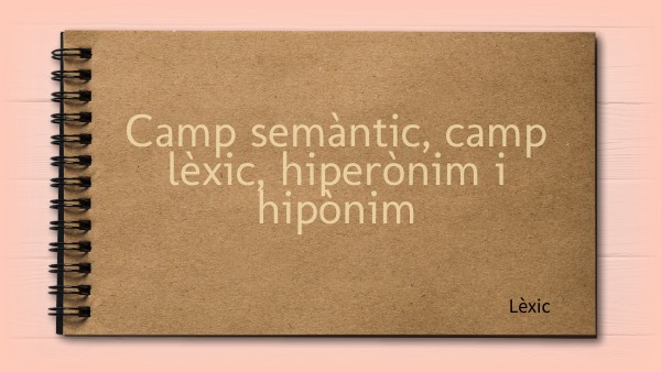 Camp semàntic 2n