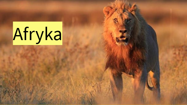 Afryka | Genially