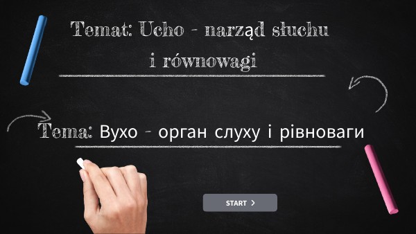 kl 7 Ucho | Genially