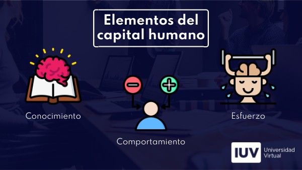 Elementos del capital humano