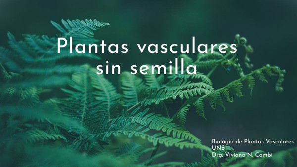 Plantas Vasculares Sin Semilla Bpv 2023 Genially 4909