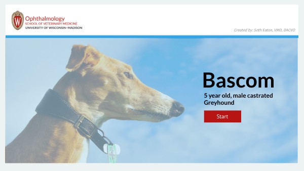 UW SVM Ophtho Case Module - "Bascom" | Genially