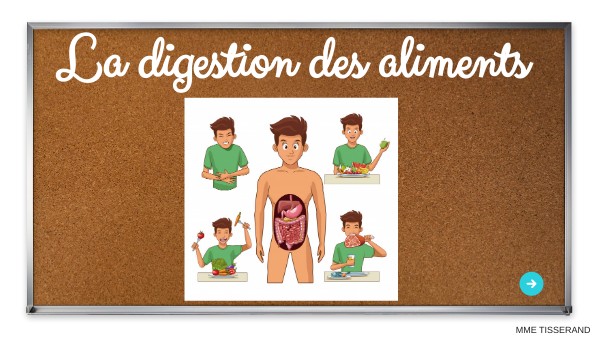 La digestion | Genially