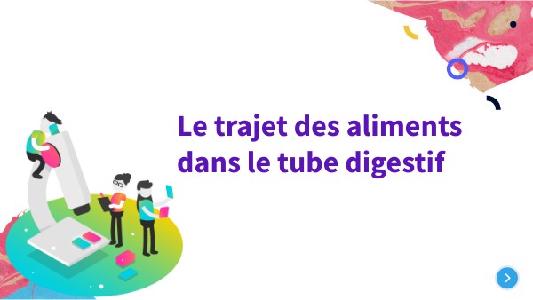 Le trajet des aliments dans le tube digestif | Genially